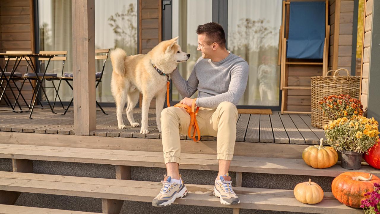 Emotional Support Animal Housing Laws Emotional Support Animal emotional-support-animal-housing-laws-emotional-support-animal
