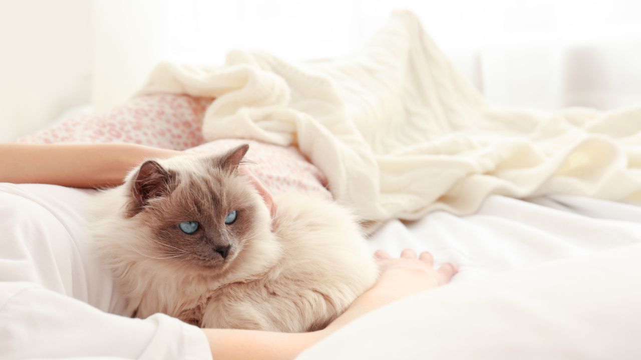 Understanding South Dakota ESA Laws and Rules: A Comprehensive Guide ...